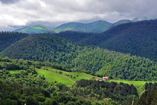 Lake Sevan & Dilijan Guided Day Trip with Ijevan Wine Tour - FAQ
