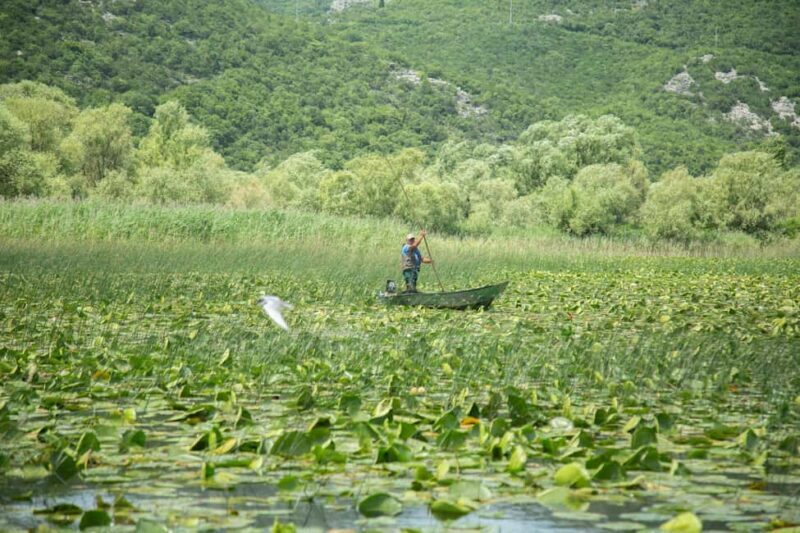 Lake Skadar: Guided Nature Cruise with Drinks - Who Will Love This Tour?