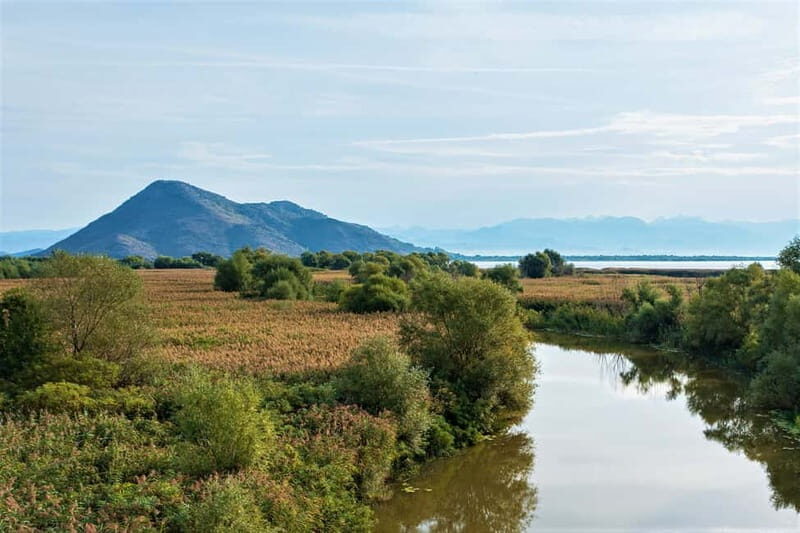 Lake Skadar National Park: Visit the Montenegrin Venice - A Closer Look at the Lake Skadar Tour Experience