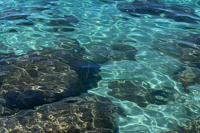 Lake Tahoe Clear Kayak Adventure at Sand Harbor - FAQs