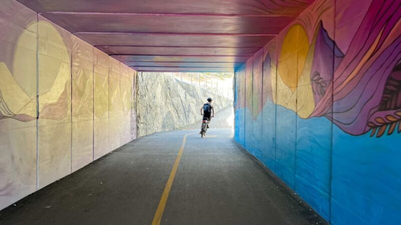 Lake Tahoe: Electric Bike Rental - Key Points