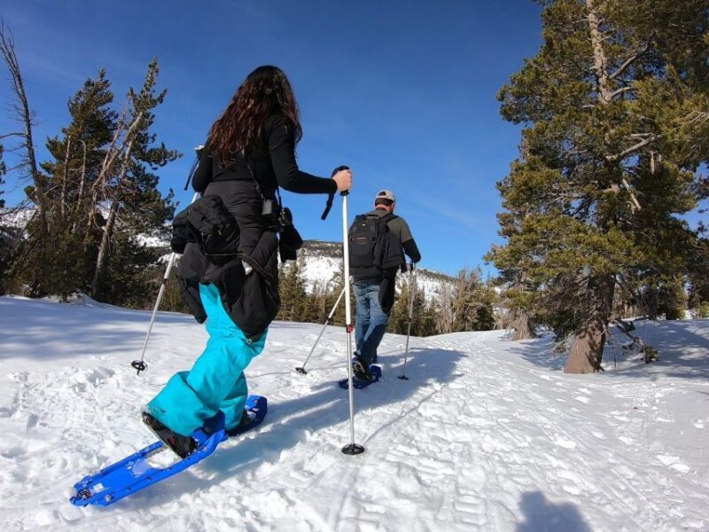 Lake Tahoe: Snowshoeing Guided Tour - Lake Tahoe: Snowshoeing Guided Tour – An Authentic Winter Adventure