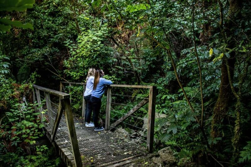 Lake Taupo Explorer Sightseeing Cruise with seasonal swim - Final Thoughts