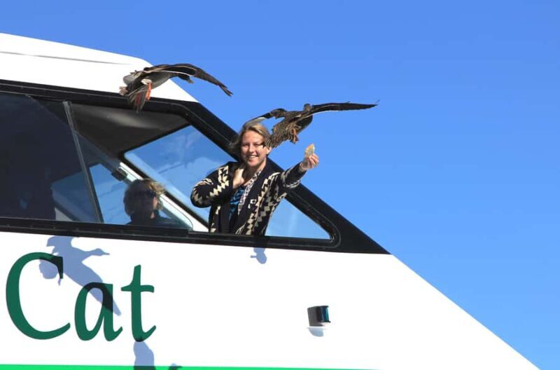 Lake Taupo: Maori Rock Carvings 8.30 AM 1.5-Hour Cruise - Key Points  