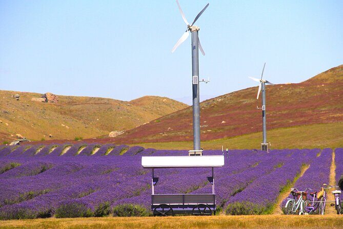 Lake Tekapo Stargazing & Mount Cook 2-Day Tour from Christchurch - Potential Drawbacks and Considerations