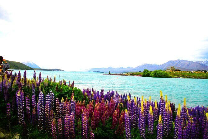 Lake Tekapo Stargazing & Mount Cook 2-Day Tour from Christchurch - FAQs