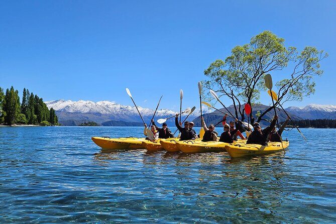 Lake Wanaka Roy's Bay Kayak Tour - Introduction