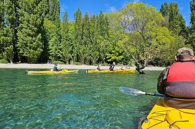 Lake Wanaka Roy's Bay Kayak Tour - Who Should Consider This Experience?