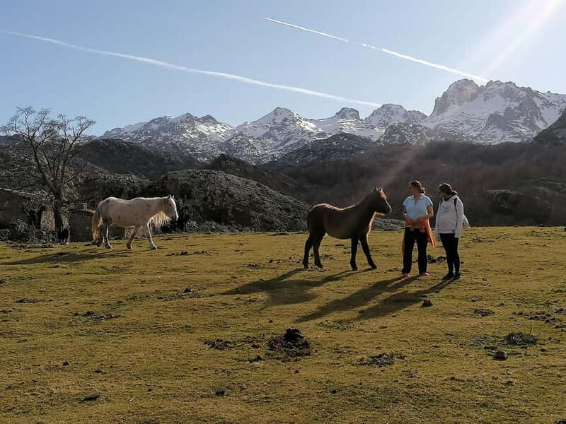 Lakes of Covadonga and Sanctuary of Covadonga: Guided and interpreted tour - An In-Depth Look at the Covadonga Tour Experience