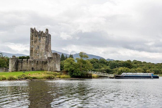 Lakes of Killarney Cruise - Wildlife and Nature Encounters