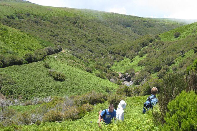 Lakes of Madeira- Alecrim Full day walk - Introduction: What Makes This Tour Special?