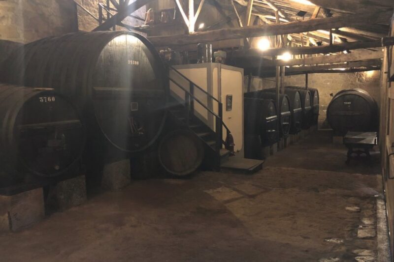 Lamego: Quinta da Portela de Baixo Winery Tour and Tasting - The Value for Money