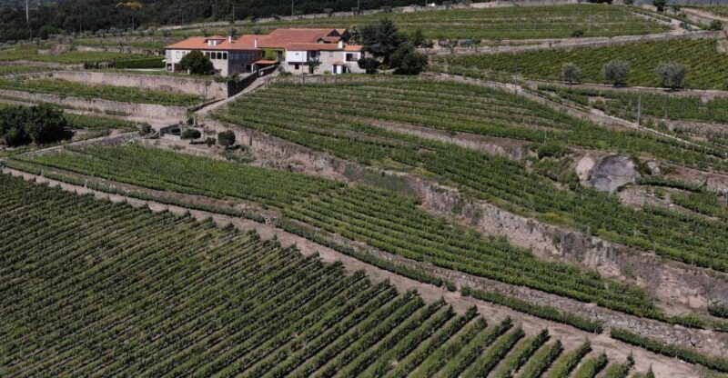 Lamego: Quinta da Portela de Baixo Winery Tour and Tasting - Who Will Love This Tour?