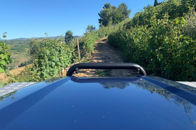 Lamego: Quinta da Portela de Baixo Winery Tour and Tasting - Final Thoughts