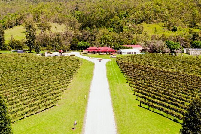 Lamington National Park, O'Reilly's & Vineyard Tour - Frequently Asked Questions