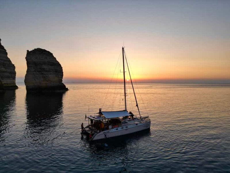 Lampedusa: Dolphin watching with aperitif at sunset - An In-Depth Look at the Experience  
