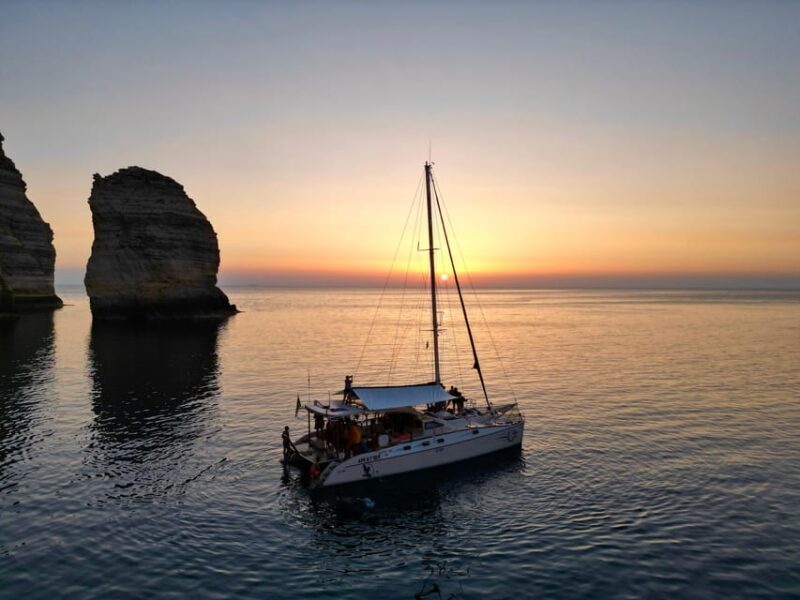 Lampedusa: Dolphin watching with aperitif at sunset - Frequently Asked Questions  