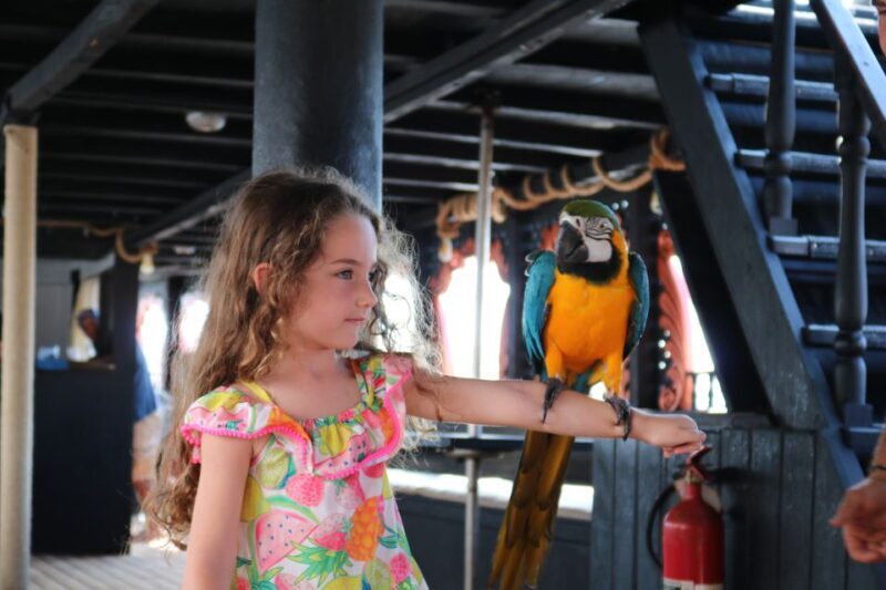 Lampedusa: Pirate Ship Boat Tour with Lunch and Music - Who Will Love This Experience?