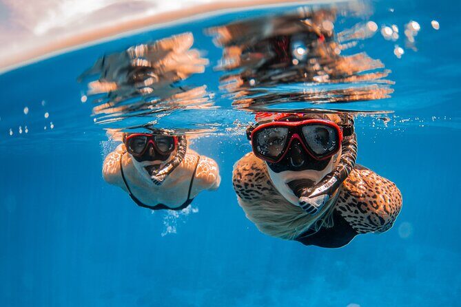 Lana'i Snorkel And Dolphin Quest with Maui Turtle Spot Tour - FAQ