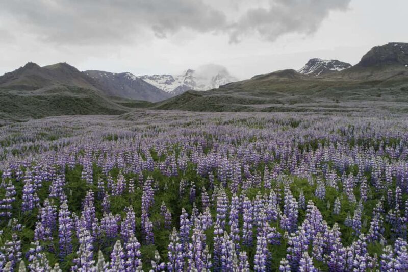 Landmannalaugar Highlands Small Group Super Jeep Tour - Practical Tips