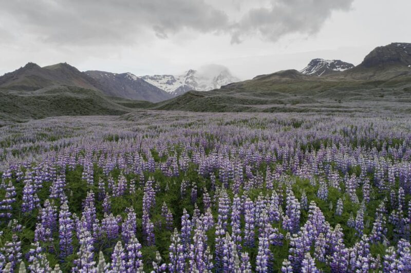 Landmannalaugar Highlands Small Group Super Jeep Tour - Final Thoughts: Who Is This Tour Best For?