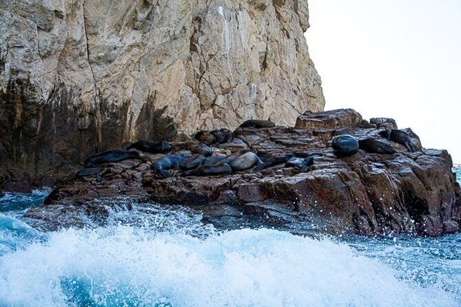 Land's End Snorkel and Kayak Experience! Round Transportation From Los Cabos - FAQs