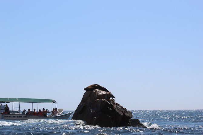 Land's End & Snorkel Tour in a Glass Bottom Boat (VisitA Cabo) - The Itinerary: What to Expect on Your Two-Hour Adventure