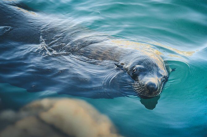 Land's End Tour Basic - FAQs