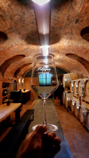 Langhe e Monferrato: Tour & Wine tasting of Agliano Wines - Exploring the Fermentation Cellar