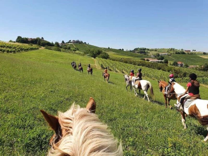 Langhe: Horse Riding in the Vineyards - Exploring the Horseback Experience in the Langhe