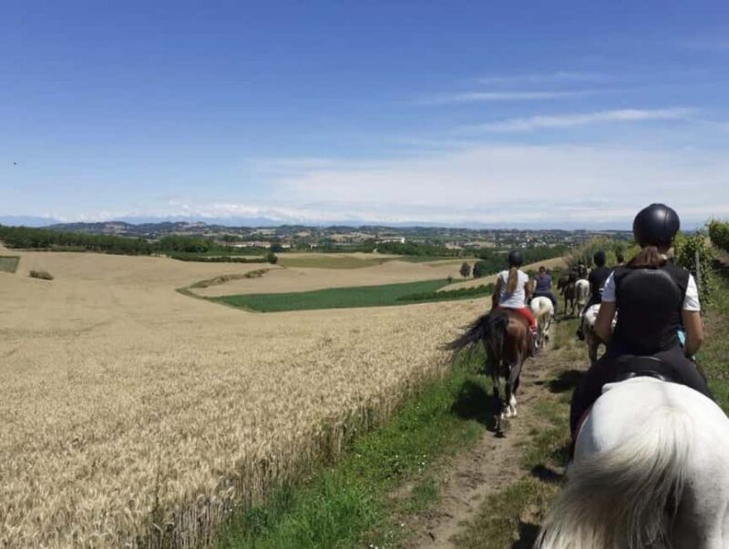 Langhe: Horse Riding in the Vineyards - Authenticity and Experience Value