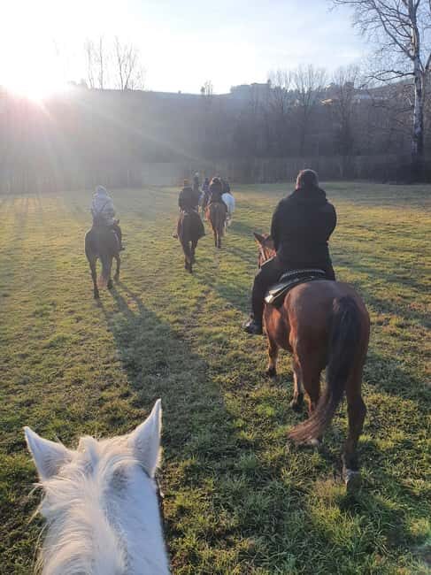 Langhe: Horse Riding in the Vineyards - FAQ