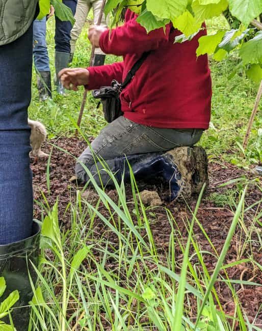 Langhe: Truffle Hunt with Local Trifulau and Dog - Authenticity and Value: What to Expect