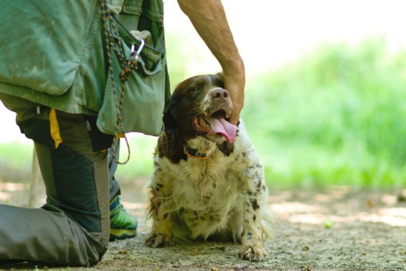 Langhe: Truffle Hunting Experience - FAQ
