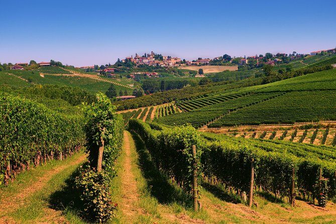 Langhe Wine & Food Tour from Turin: Barolo and More - A Closer Look at the Itinerary
