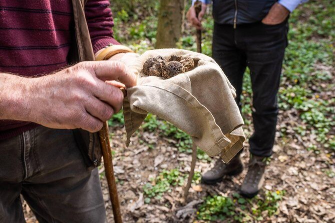 Langhe Wine Tour and Tasting - One day with a Somm - Additional Personalization and Flexibility