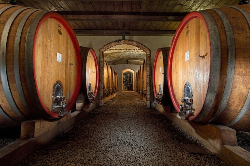 Langhe: Winery Tour and Wine Tasting - Key Points