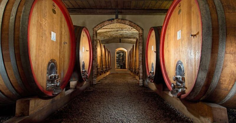 Langhe: Winery Tour and Wine Tasting - A Closer Look at the Experience