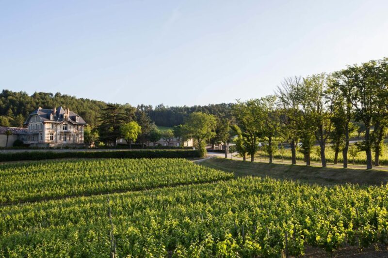 Languedoc: Tour and Tasting at Domaine de Baronarques - Key Points