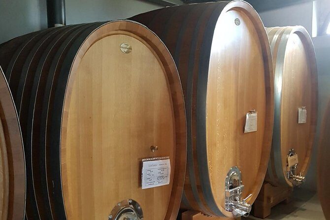 Languedoc Vineyard Tours - Why This Tour Works Well