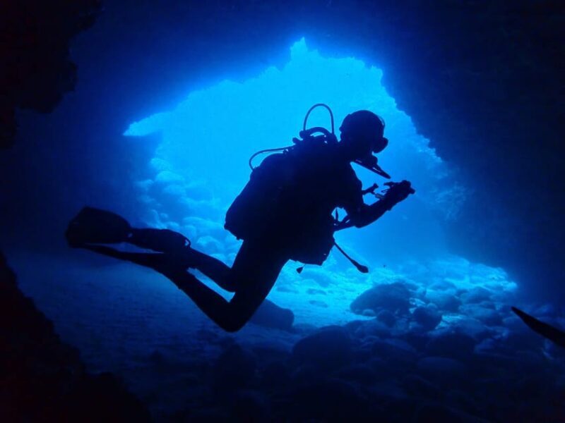 Lanzarote: 2 Guided Dives (Certified Divers Only) - The Sum Up