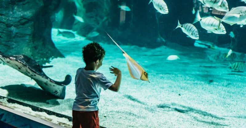 Lanzarote: Aquarium Entry Ticket - Who Will Love This Aquarium?