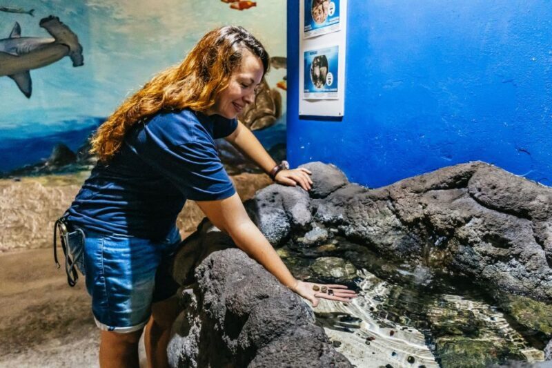 Lanzarote: Aquarium Entry Ticket - Final Thoughts: Is It Worth Visiting?