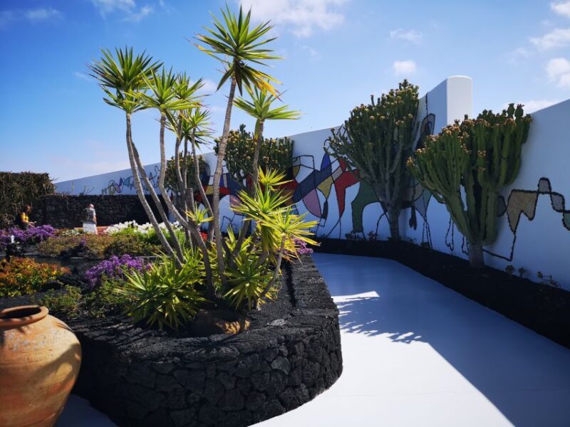 Lanzarote: César Manrique Foundation and Teguise Market - Who Is This Tour For?