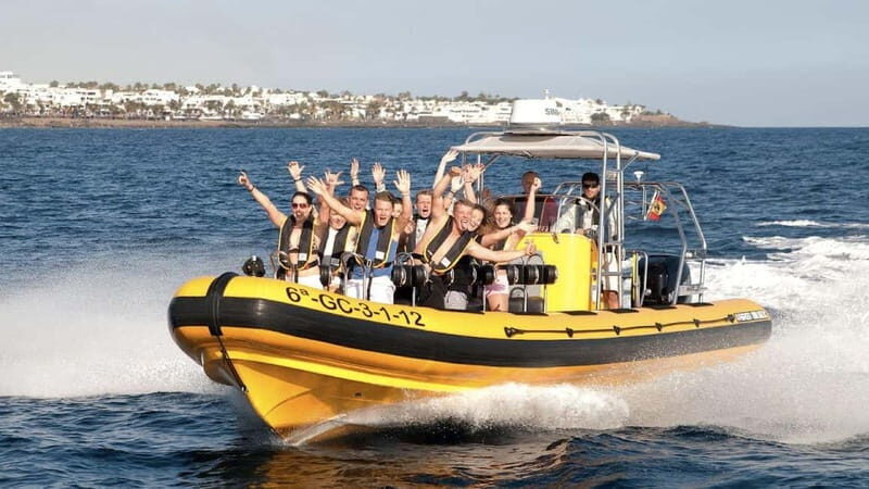 Lanzarote: Dolphin Watching by speedboat - Key Points