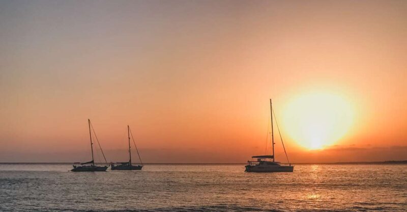 Lanzarote: Dolphin-Watching Sunset Cruise with Transfers - Key Points