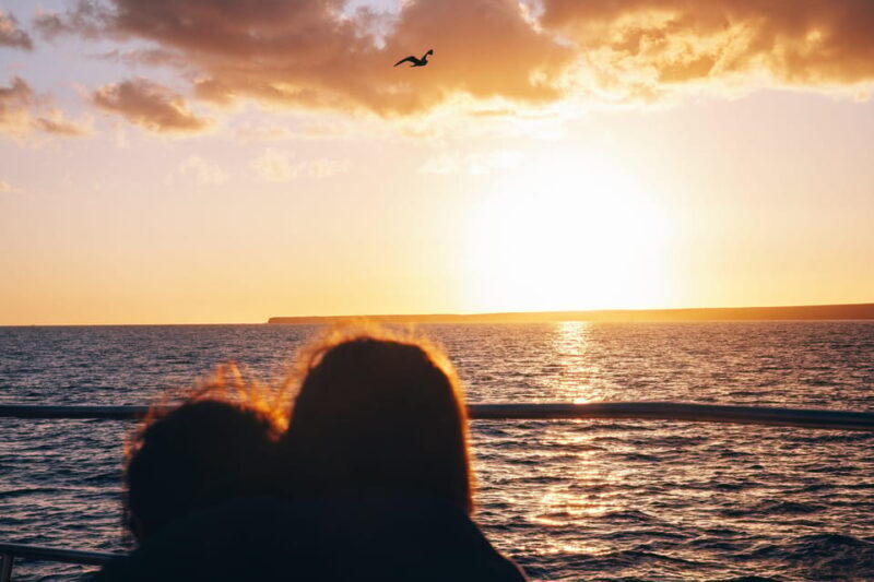 Lanzarote: Dolphin-Watching Sunset Cruise with Transfers - A Thorough Look at the Lanzarote Sunset Dolphin Cruise