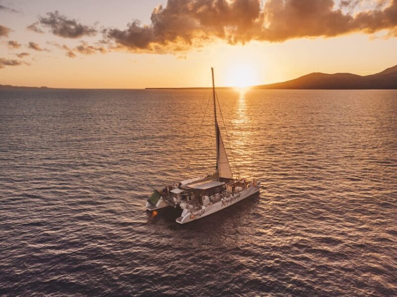 Lanzarote: Dolphin-Watching Sunset Cruise with Transfers - The Sum Up