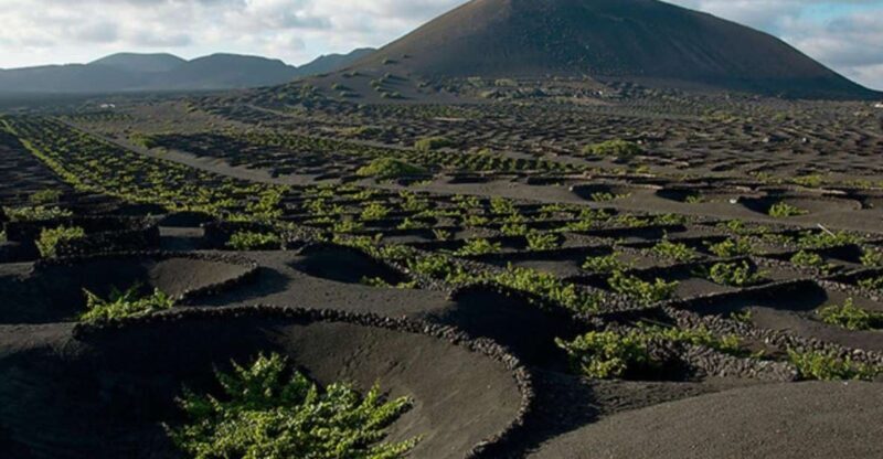 Lanzarote: Full Day Bus Tour with Scenic Views - Discover the Contrasts of Lanzarote in a Day