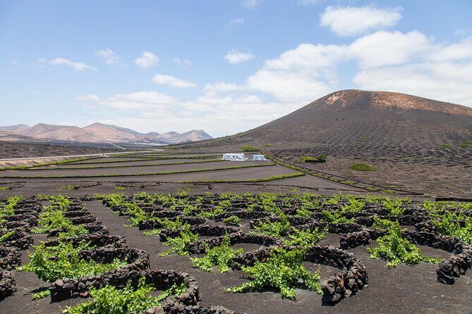 Lanzarote Grand Tour - Who Should Book This Tour?